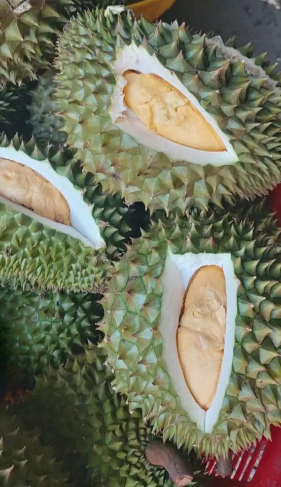 Premium Quality Grade Vietnam Fresh Ri6/ Monthong Durians Fruit From ...