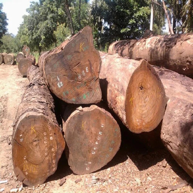Ebene Timber Wood Logs High Quality Natural Keruing Wood Logs For ...
