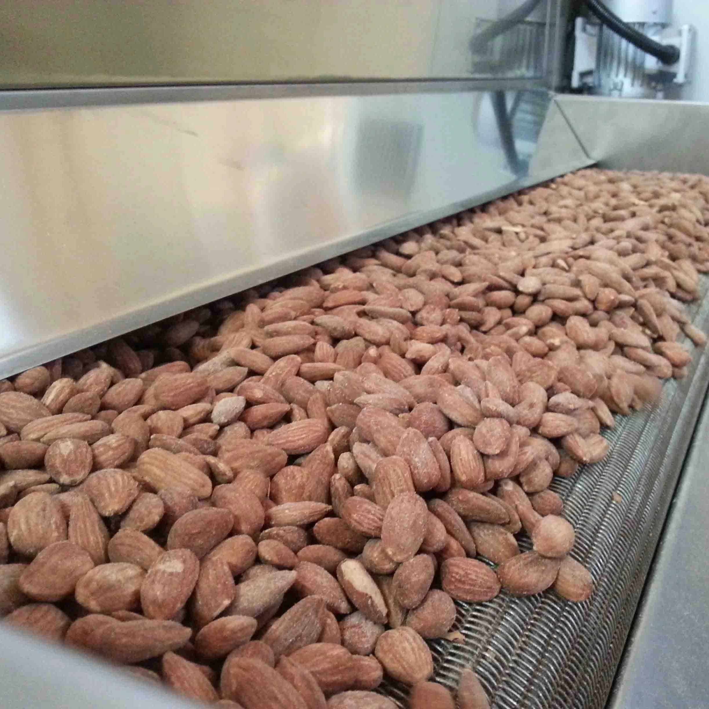 Nuts Roasting Production Line Almond Cashew Hazelnut Peanut Pistachio ...
