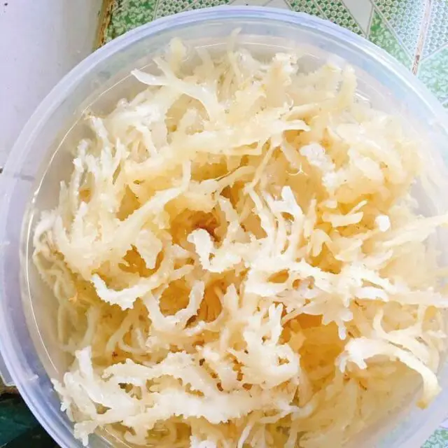 Dry Gracilaria Seaweed for Agar Agar Origin Vietnam/ Jenna| Alibaba.com