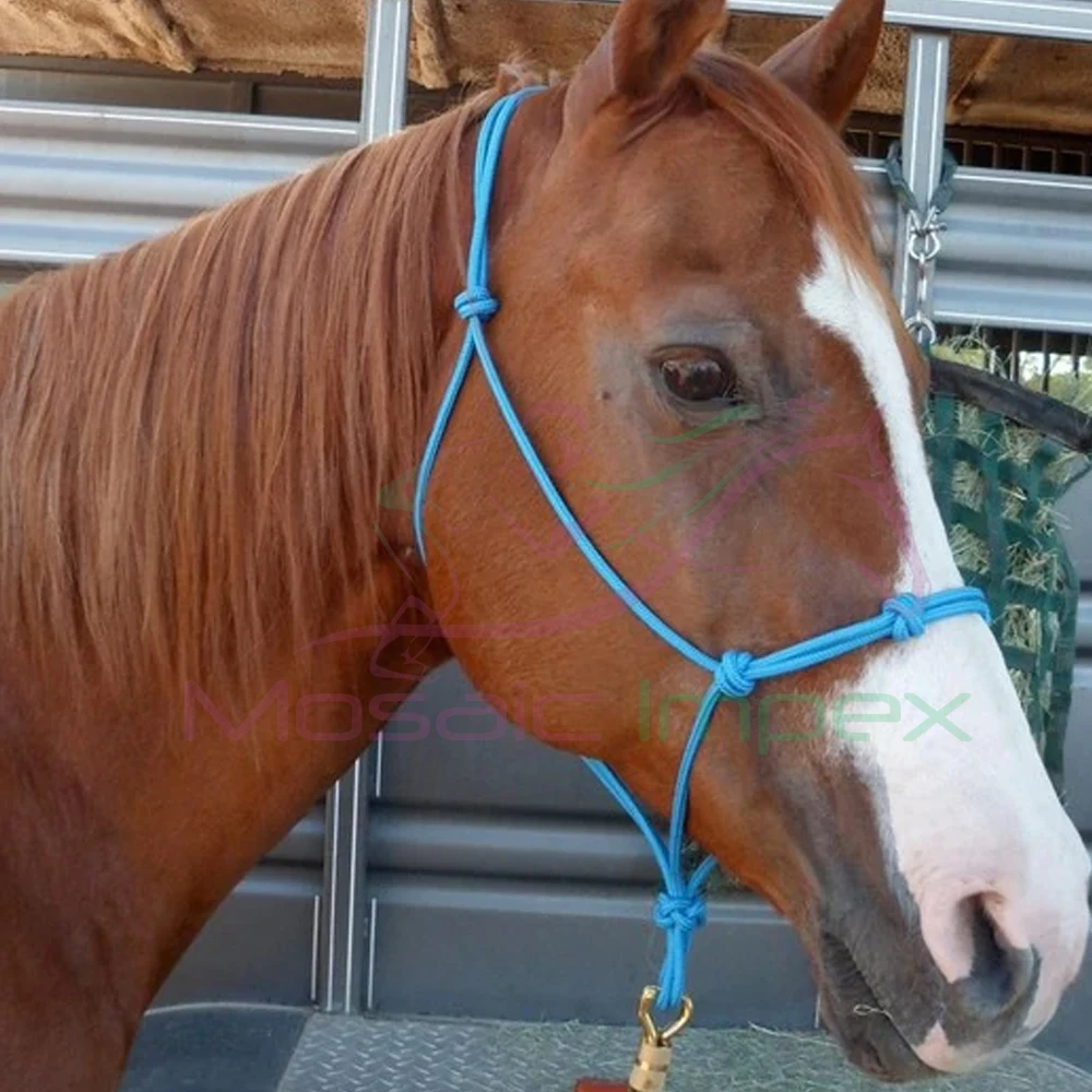 Wholesale High Quality Horse Riding Rope Halter Colorful Horse Rope ...