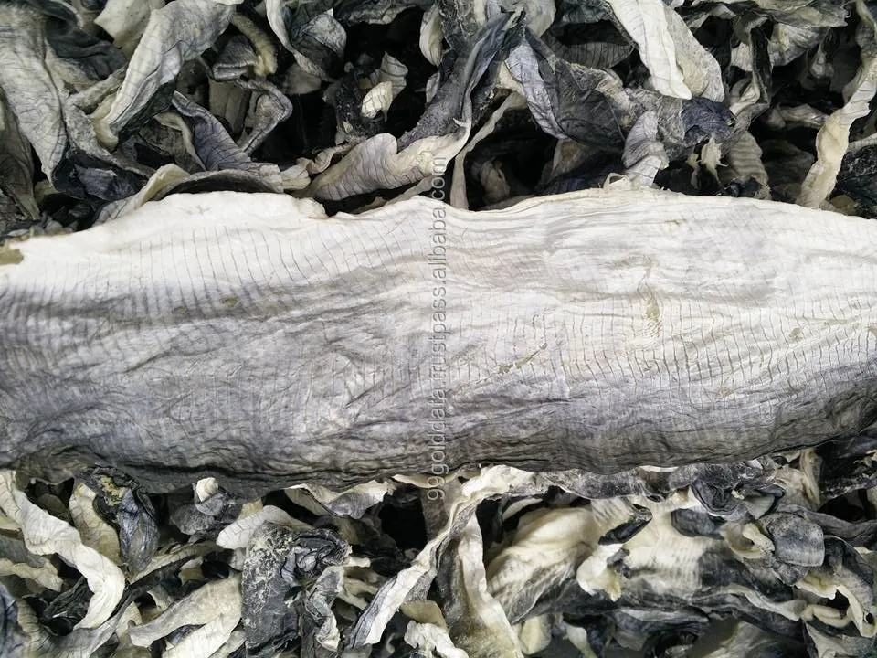 Pangasius Fish Skin Making Collagen - Dried & Certified