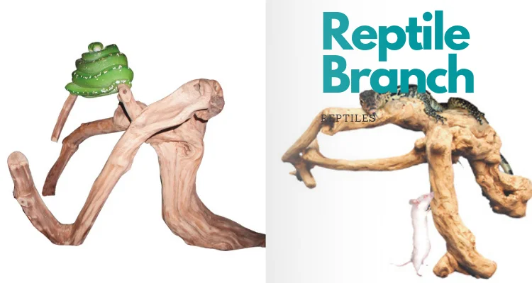 Eco-friendly Reptile Branches from Indonesia for Terrariums