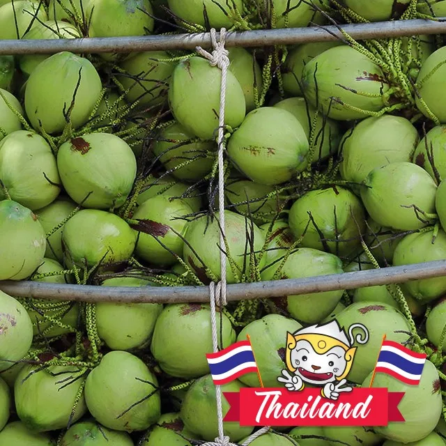 Thai Young Green Coconut High Quality Nam Hom Fresh Product From ...