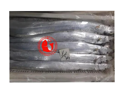Ribbon Fish From Arabian Sea Ready For Export In Bulk Frozen High ...