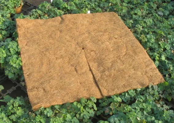 The Best Sale Coir Peat Disc - Coir Mulch Mat In Vietnam (lee Tran ...