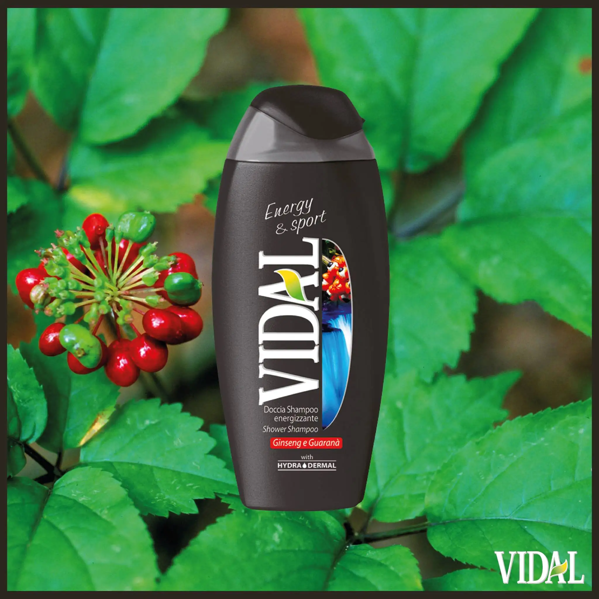 Bath Foam Vidal 250 Ml Ginseng & Guarana - Buy Shower Gel Bath Liquid ...