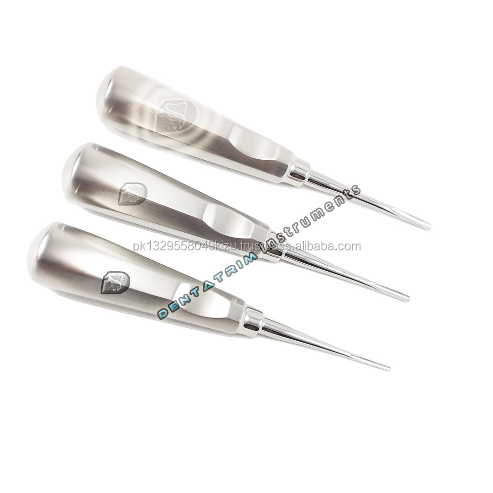 10 Piece Dental Root Elevators Set Dental Root Elevators Custom Logo Stainless Steel CE ...