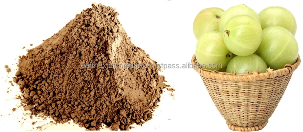Indian Gooseberry Extract - Buy Indian Gooseberry Extract,Indian ...
