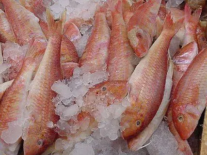 redmullet,(第17页)_大山谷图库