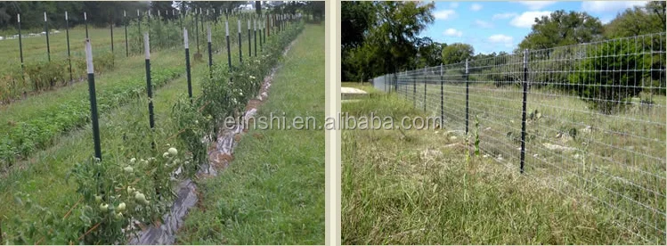 Heavy Duty Ranch Fence Post T Post Deer Fence Post - Buy Ranch Fence ...