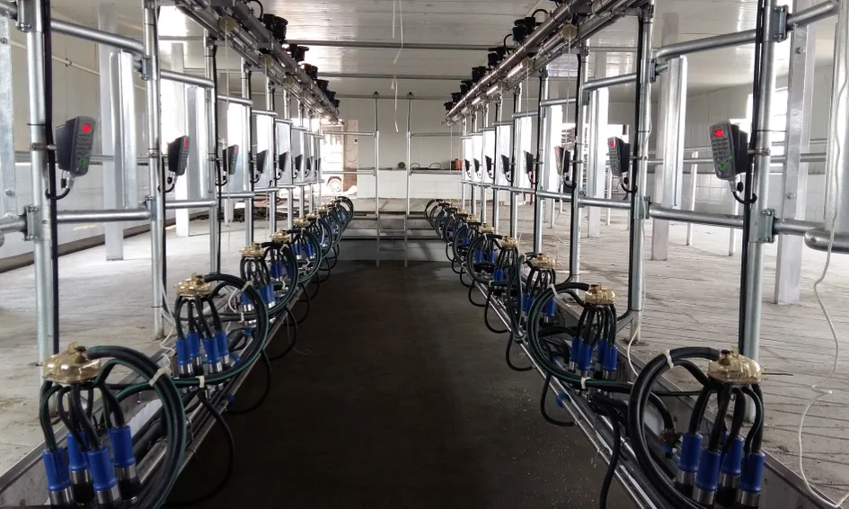 Herring Bone Type Electric Meter Milking Parlor System - Buy Herring ...
