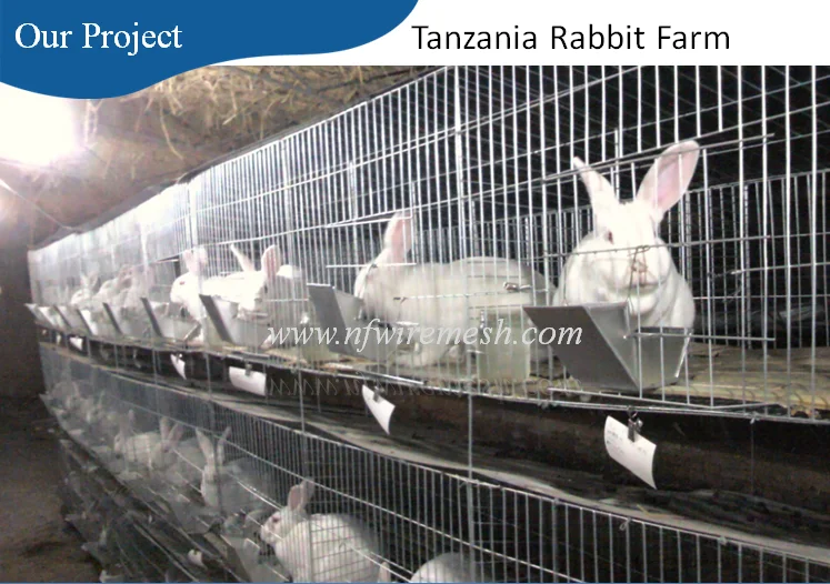 Galvanized Rabbit Farming Cage/new Rabbit Cage Equipment(guangzhou ...