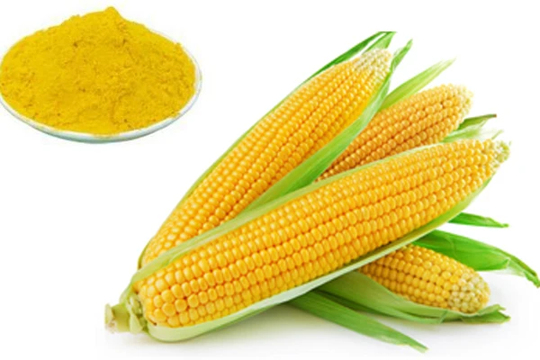 Hot Sale Feed Grade Corn Protein Meal Powder / Zein / Corn Gluten - Buy ...