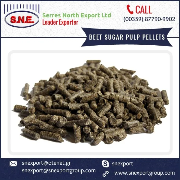 Beet Sugar Pulp Pellets High Density 1/4 Inch Pellets Formed From Dried ...