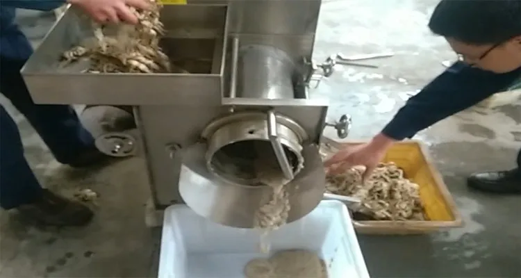 Crab Meat Extractor Machine - Automatic Stainless Steel Food Processing ...