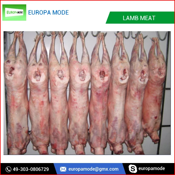 Branded Quality Whole Lamb Carcass At Best Rate - Buy Lamb Carcass For ...
