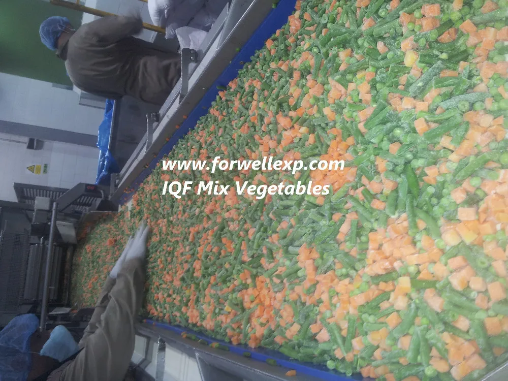 Iqf Vegetables With Export High Quality - Buy ( Beans - Peas - Carrots - Broccoli- Okra ...