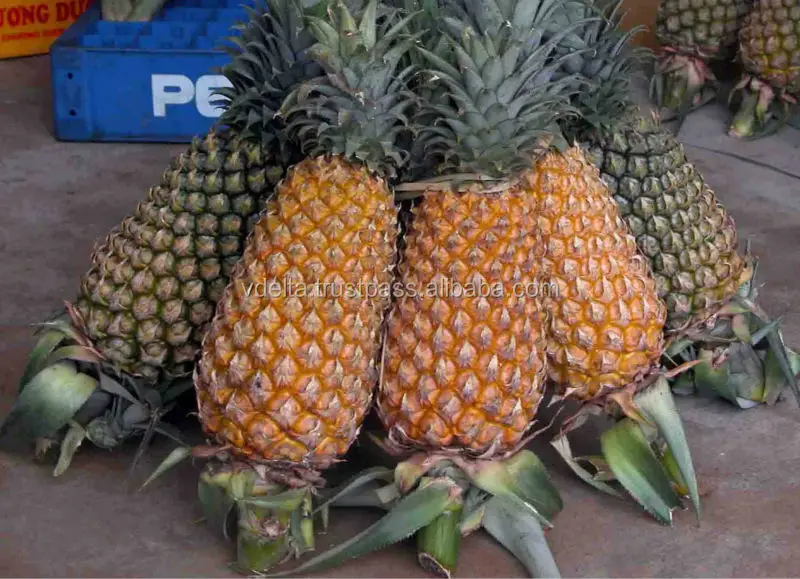 Fresh Queen Pineapple/ (ms) Victoria +84 28 35119589 - Buy Fresh Queen ...