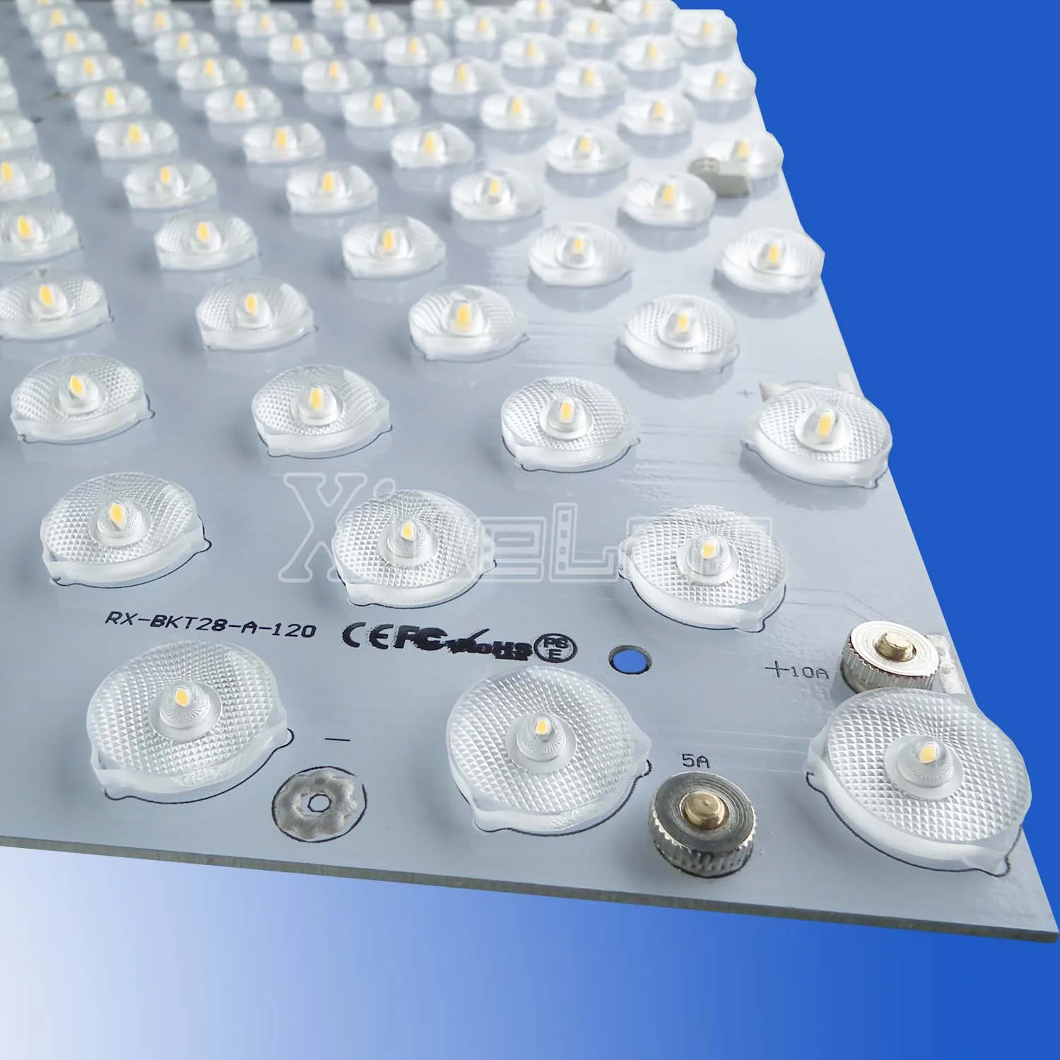 Attached Lens 24v Led Grid/panel Lighting - Ceiling Tile Lighting For ...