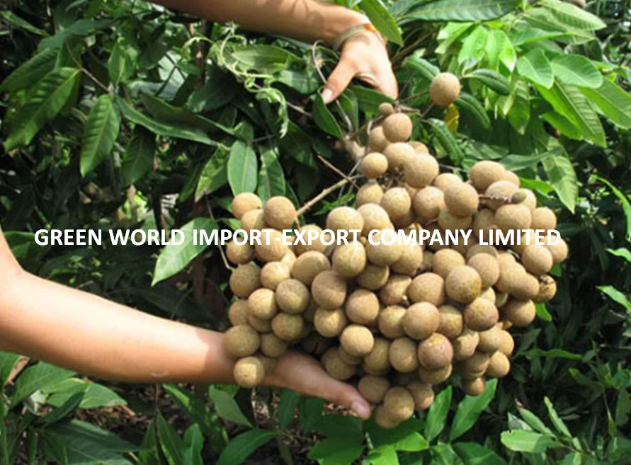 Fresh/frozen Longan From Tropical Country Vietnam With High Quality ...