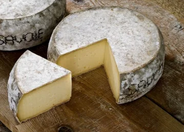 Best cheese for larp? : r/LARP