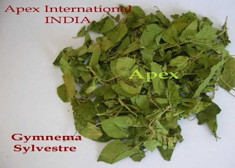 Pure Indian Herbs (gymnema Sylvestre) / Gymnema Sylvestre - Buy Gymnema ...