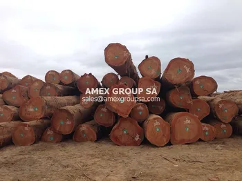 Okoume Logs (aucoumea Klaineana) - Buy Okoume Logs Product on Alibaba.com