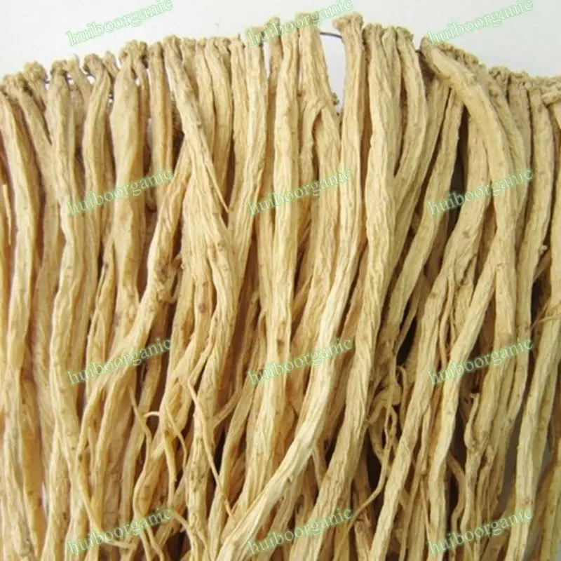 Codonopsis Pilosula - Dangshen Extract for Health & Wellness