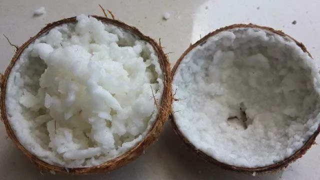 Kopyor coconut - Alchetron, The Free Social Encyclopedia