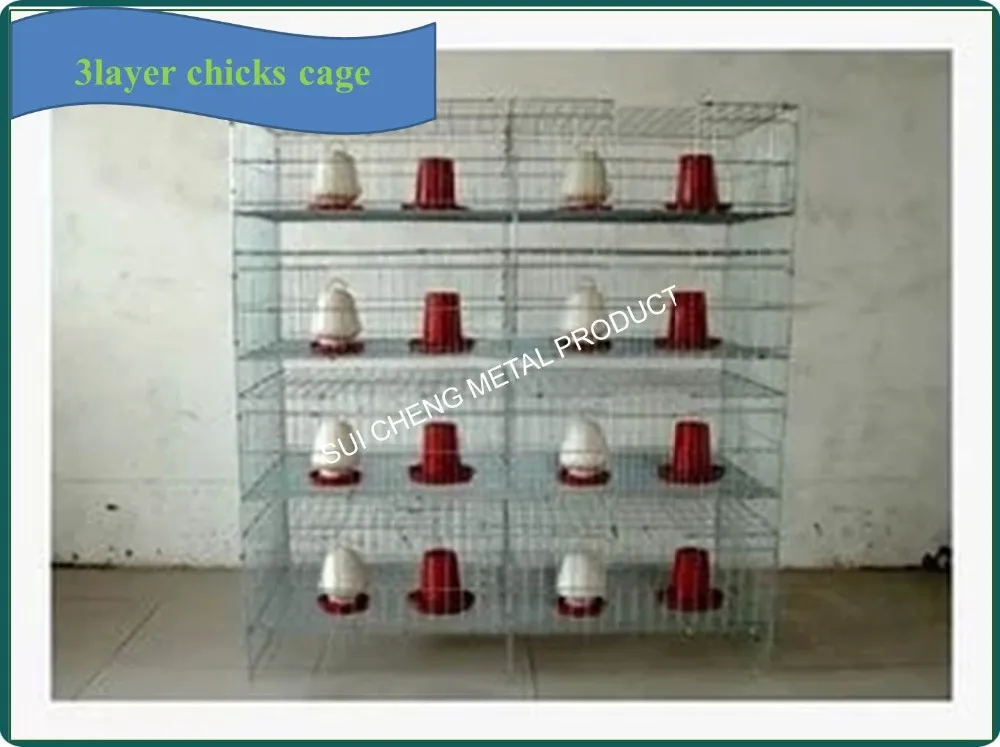 Guangzhou Baby Chick Cage H Type Small Chicken Cage 300chickens Cage ...