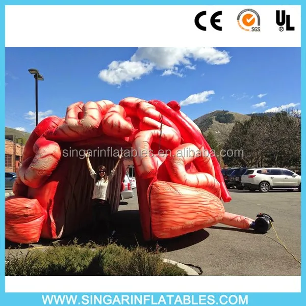 Giant Inflatable Organ,Inflatable Brain,Inflatable Sculpture - Buy ...