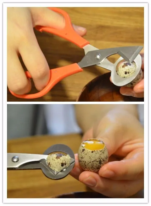 Quail Egg Cutter / Quail Egg Peeler - Buy Egg Cutter,Quail Egg Cutter ...