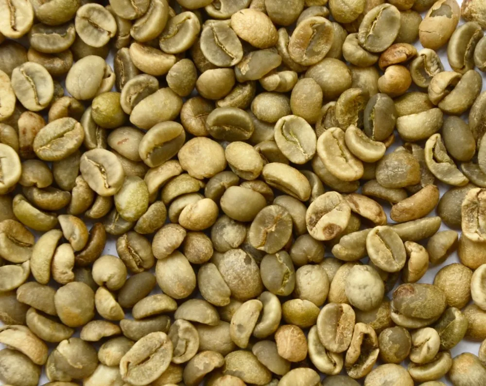 Coffee Robusta And Arabica Sale In Bulk - Buy Robusta Coffee,Coffee ...