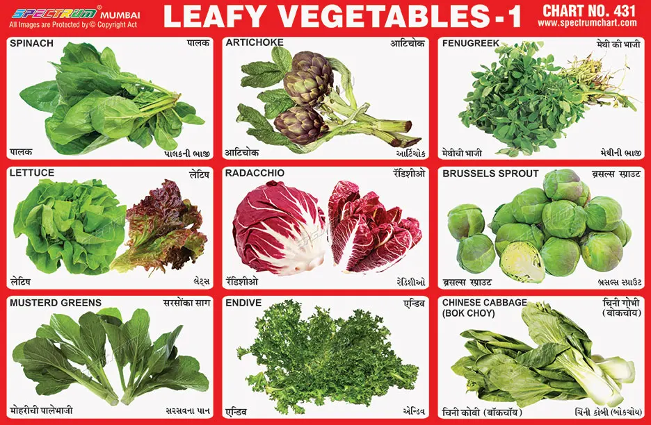 India Learn Chart India Learn Chart Manufacturers And Suppliers On India Learn Chart India Learn Chart Manufacturers And Suppliers On
