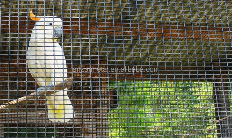 Hot Dipped Galvanized Bird Cage Welded Wire Mesh Roll - Buy Bird Cage ...