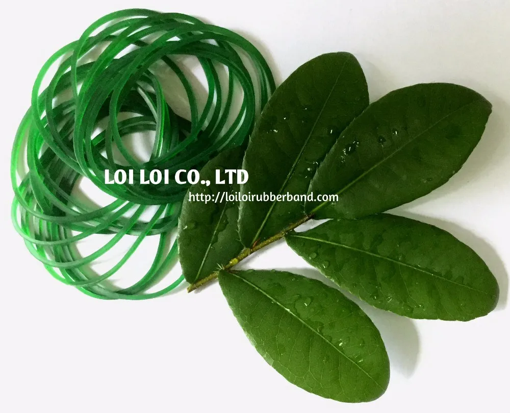 Rubber Band Specializes Use For All Mix Organic Green Vegetables - Buy ...