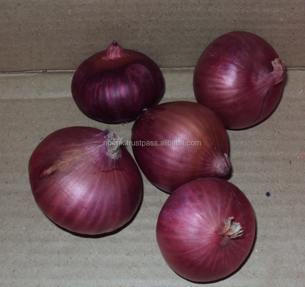 100% Fresh Onion 2020 Crop From Pakistan / Pink Onion - Buy Pearl ...