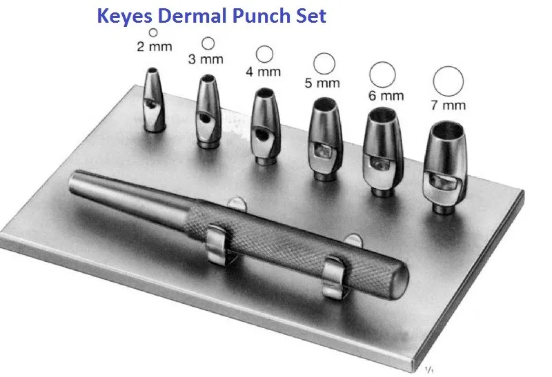 Keyes Dermal Punch Set Surgical Instruments - Buy Keyes Dermal Punch ...