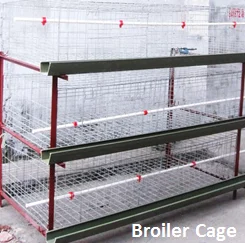 H Type Quail Layer Cage with Water System - 240 pcs Feeding Capacity, OEM
