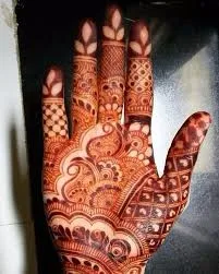 Neha Herbal Fast Henna Mehandi Strong Stable Black Tube Cone 25gm Each ...