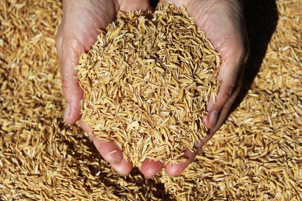 Rice Husk Grind Good For Animal Feed From Vietnam (whatsapp ...