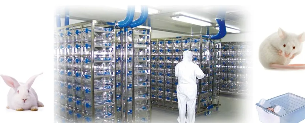 Stainless Steel Dry-feeding Rat Experimental Rack - Buy Stainless Steel ...