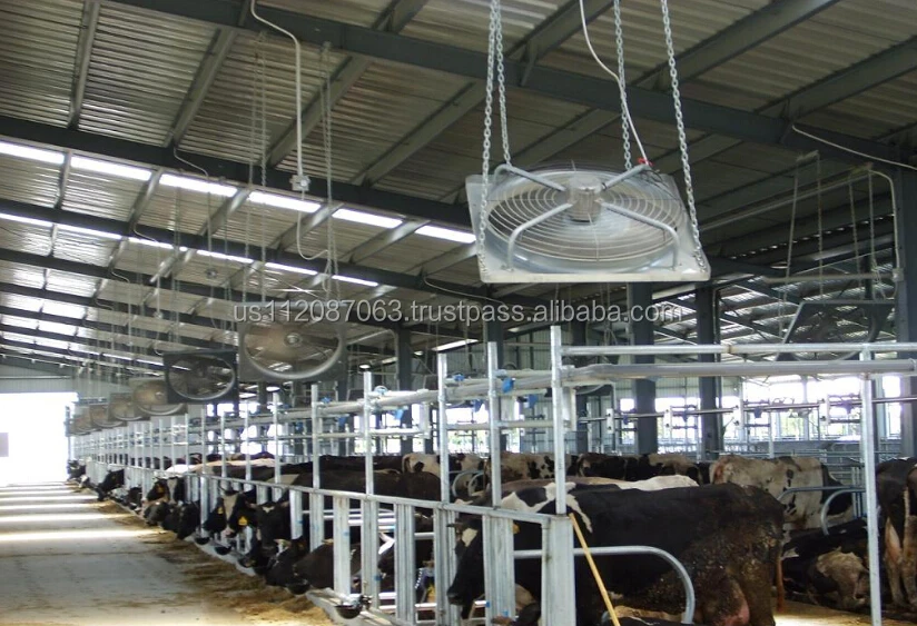 Dairy Ventilation Fan/dairy Farm Cooling Fan - Buy Dairy Fan,Dairy Farm ...
