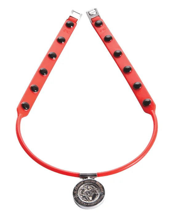 Medical Neodymium Magnet Power Chip Pain Relief Necklace - Buy ...