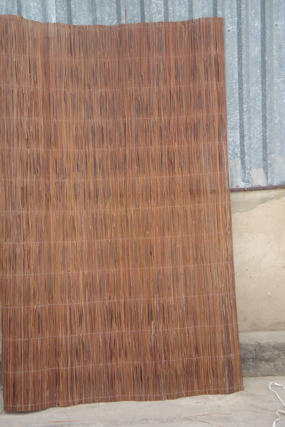 Rolled Fern Reed Screen 3105 - Buy Rolled Fern Reed Screen,Garden Fern ...