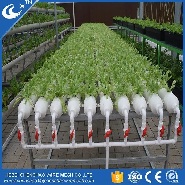 Horticultural Greenhouse Seedbed Seed Bench For Roses Movable Seeding ...