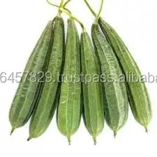 Bulk Vegetable Seeds (galka Beej) - Buy Vegetable Seeds Australia ...