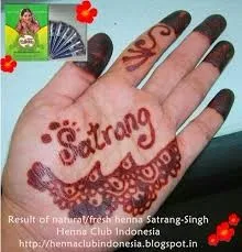 Singh Satrang Henna Cones Natural Henna Cone - Buy Singh Satranga ...