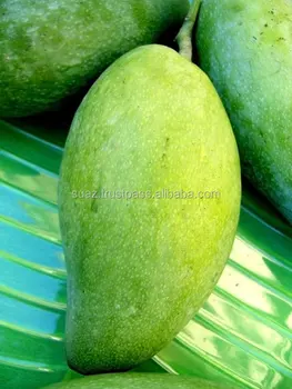 Langra Mangos,Langda Mango Variety,Green Mango - Buy Banganapalli Mango ...